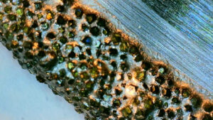 CBN (Cubic Boron Nitride) Grinding Wheels - UKAM